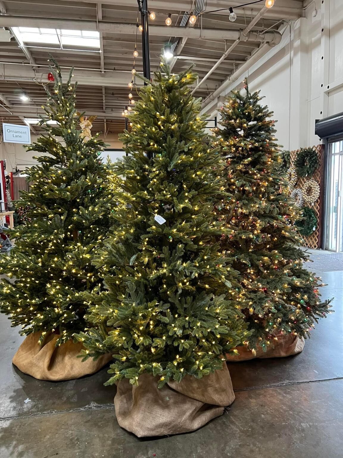 Goodwill Outlet: The Ultimate Guide to Nailing Goodwill Bins - That ...